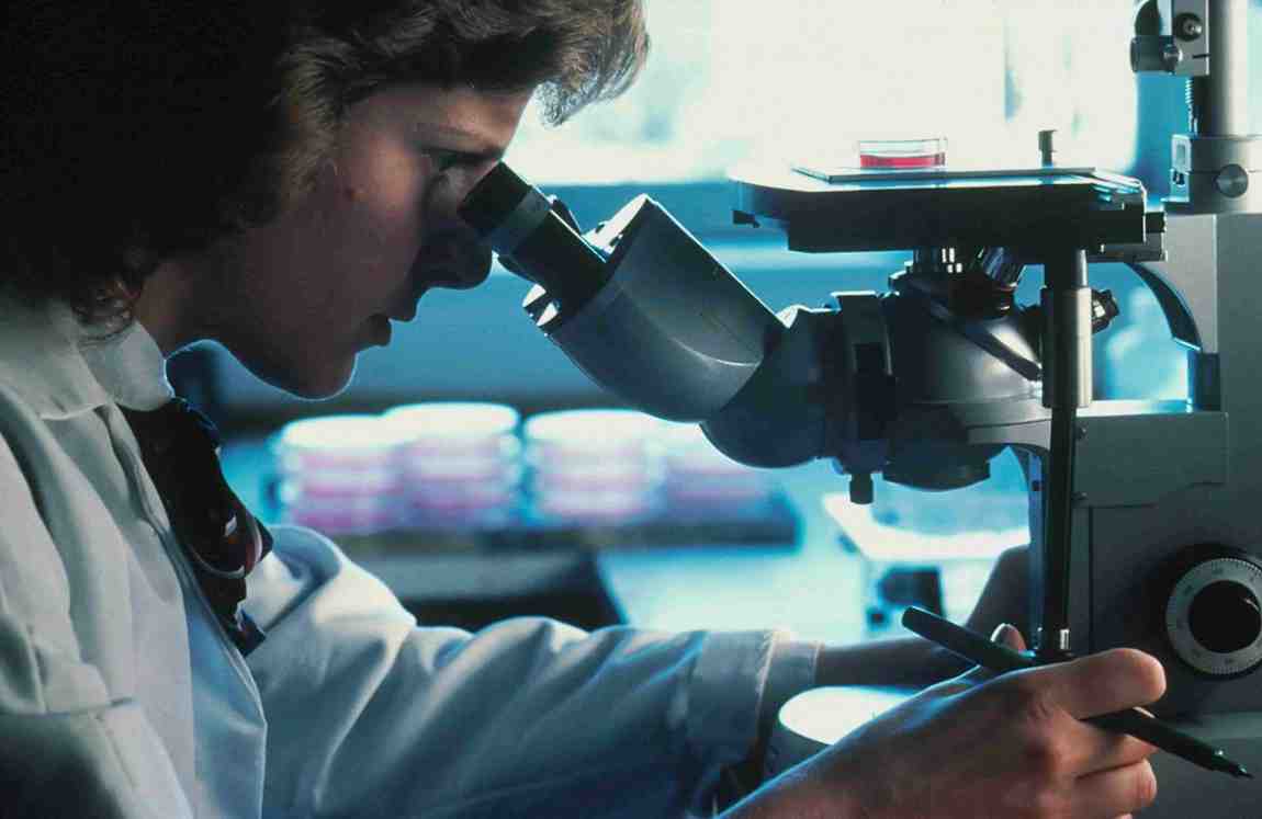 Step-by-Step Guide to Becoming a Principal Investigator in Clinical ...